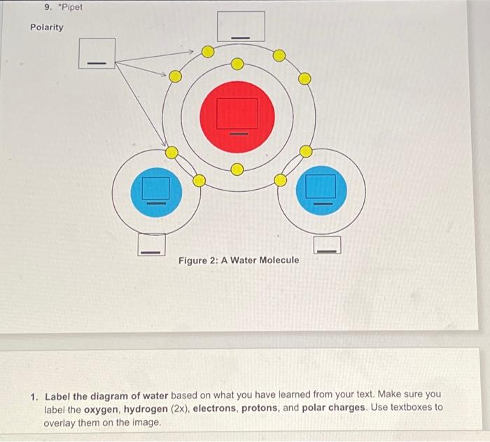 Solved Polarity 1. Label the diagram of water based on what | Chegg.com