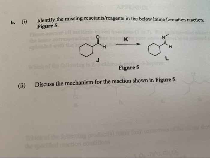 Solved b. (i) Identify the missing reactants/reagents in the | Chegg.com