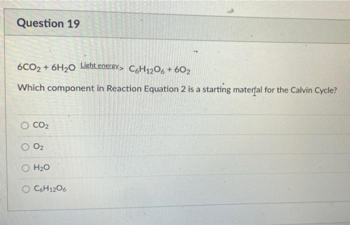 Solved Question 17 6CO2 + 6H20 Light energy> CoH12O6 + 602 | Chegg.com