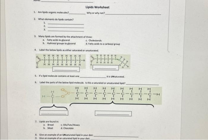 Solved Lipids Worksheet 1. Are lipids organic molecules? Why | Chegg.com