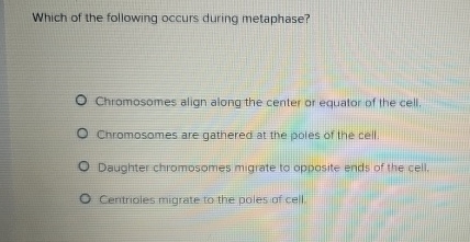 Solved Which of the following occurs during | Chegg.com