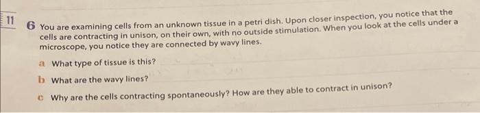 Solved 6 You are examining cells from an unknown tissue in a | Chegg.com