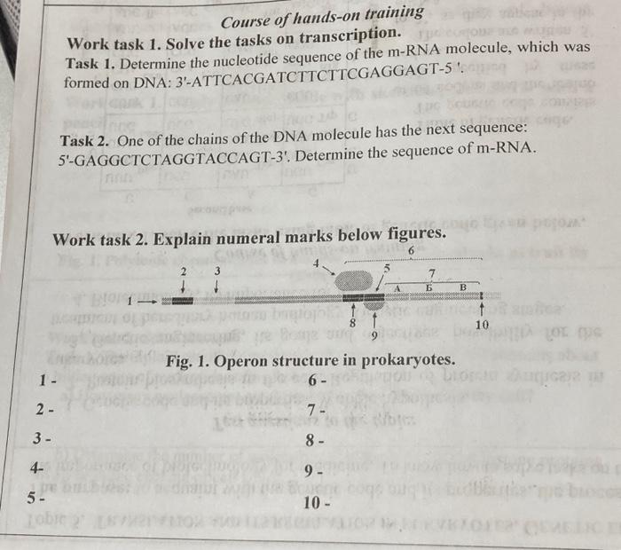 Solved Course of hands-on training Work task 1. Solve the | Chegg.com