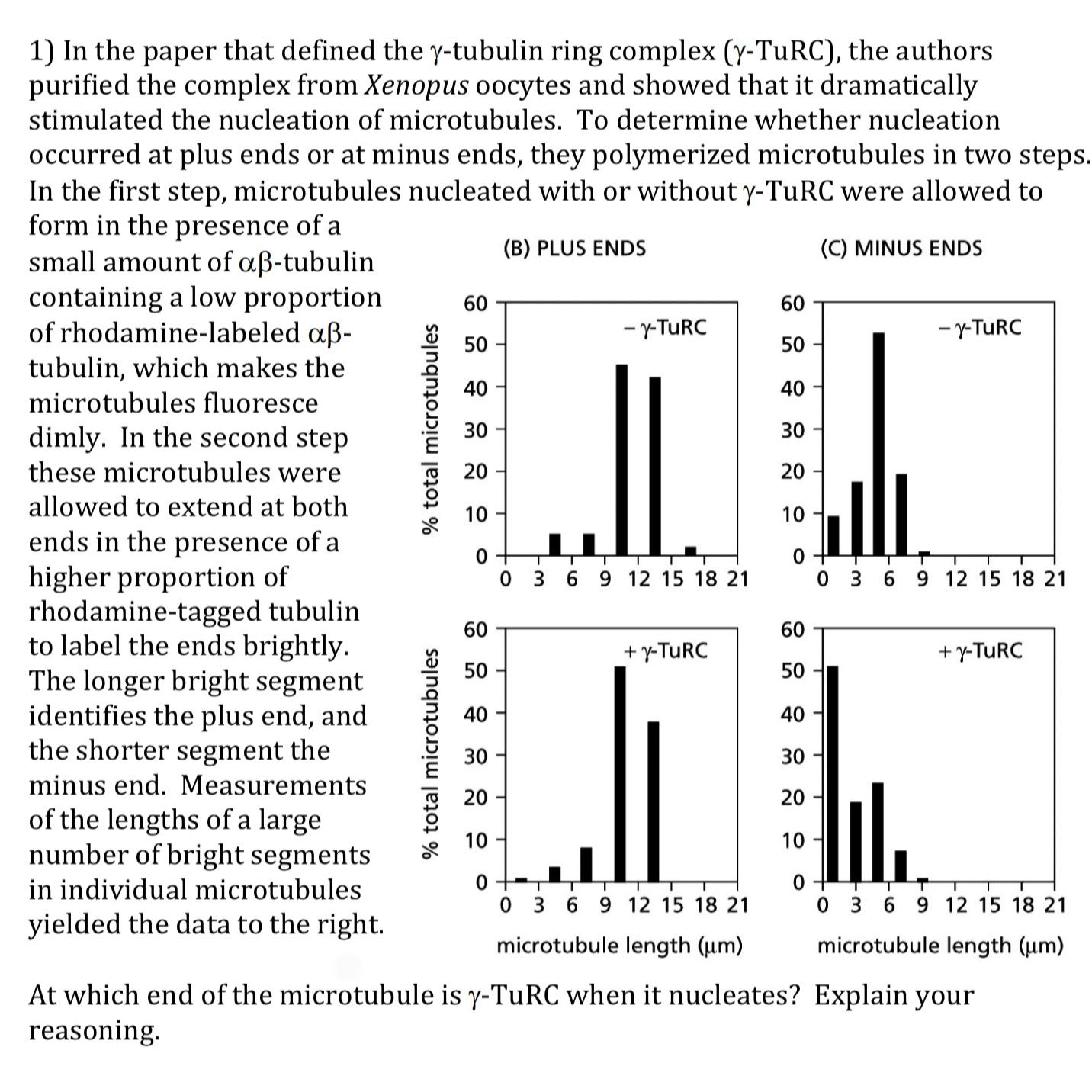 Solved In the paper that defined the γ-tubulin ring complex | Chegg.com