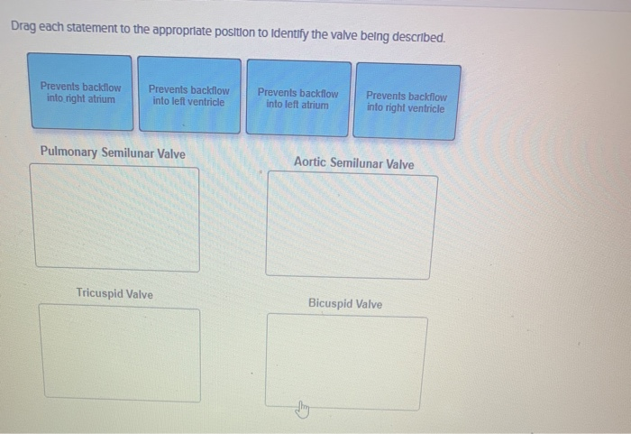 Solved Drag each statement to the appropriate position to | Chegg.com