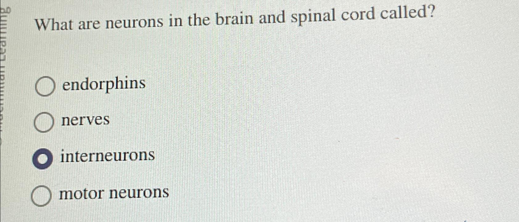 Solved What are neurons in the brain and spinal cord | Chegg.com