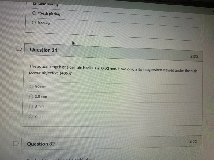 Solved Window Help R ccp.instructure.com jmcmillanccp.edu's | Chegg.com