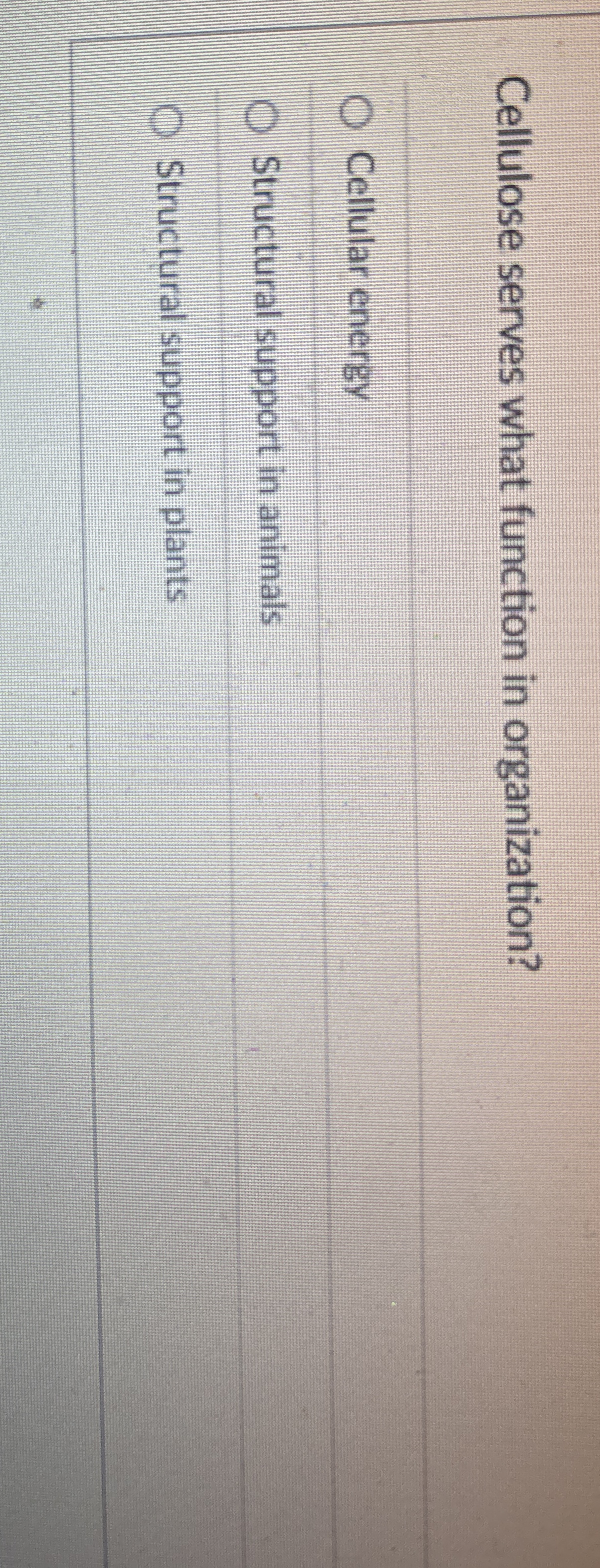 Solved Cellulose serves what function in | Chegg.com