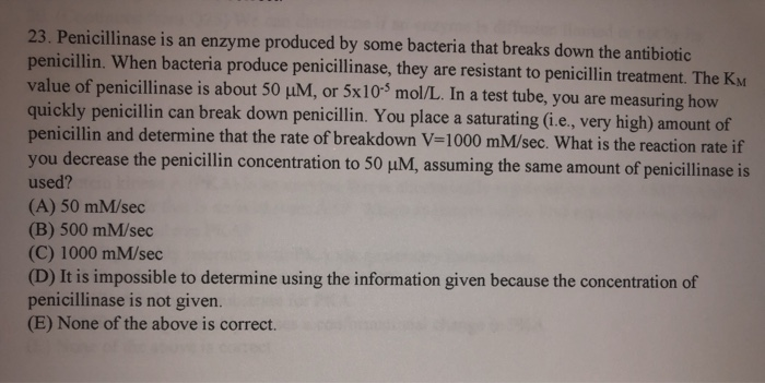 Solved 23. Penicillinase is an enzyme produced by some | Chegg.com