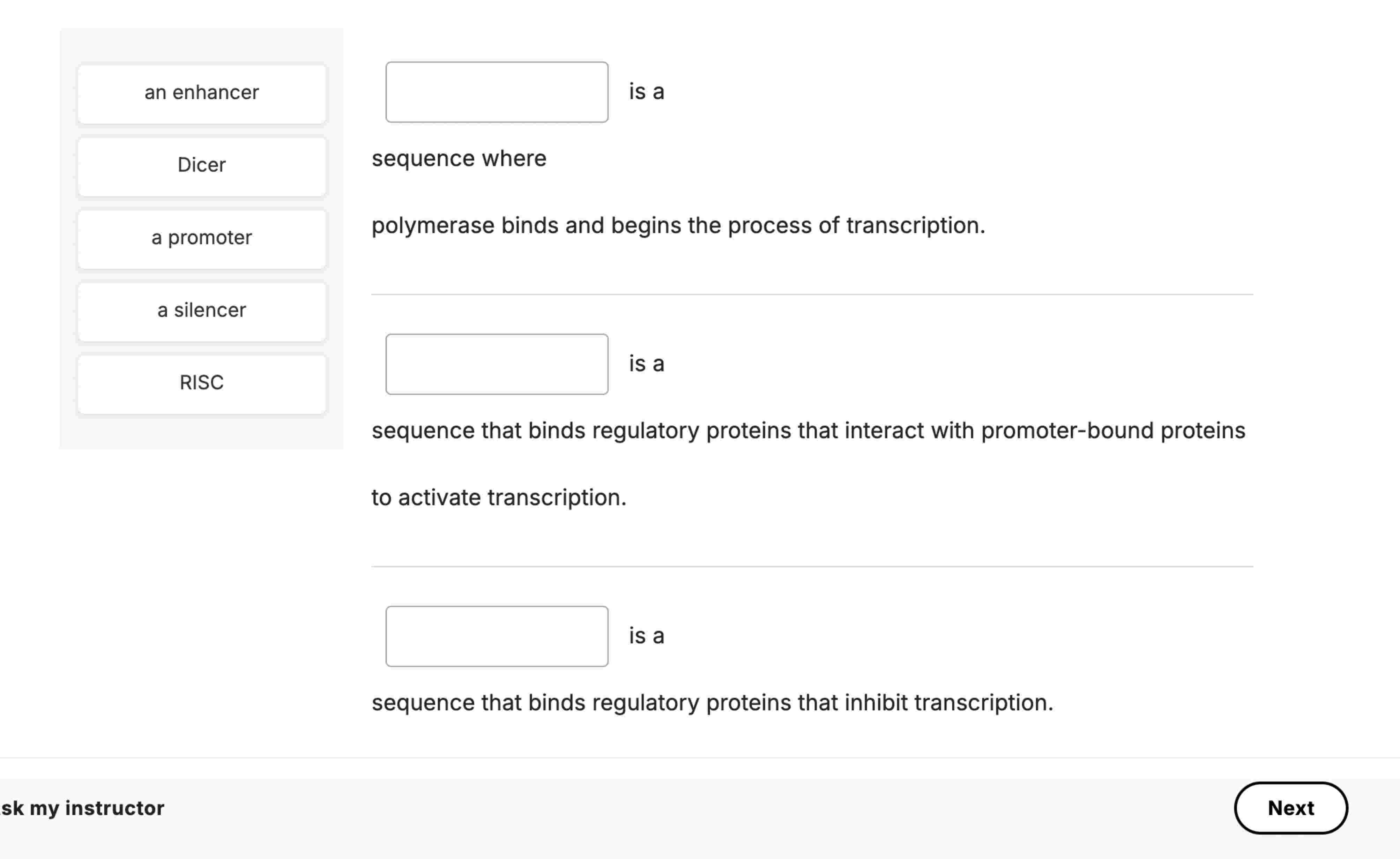 Solved sequence wherea promotera silencerRISCpolymerase | Chegg.com