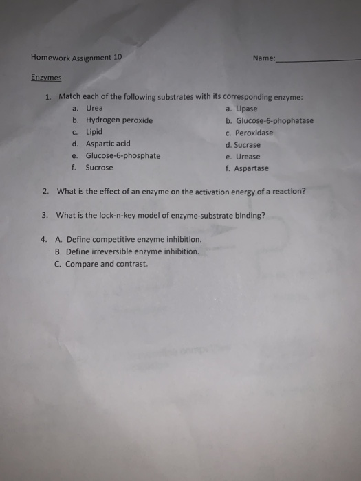 Solved Homework Assignment 10 Name: Enzymes 1. Match each of | Chegg.com