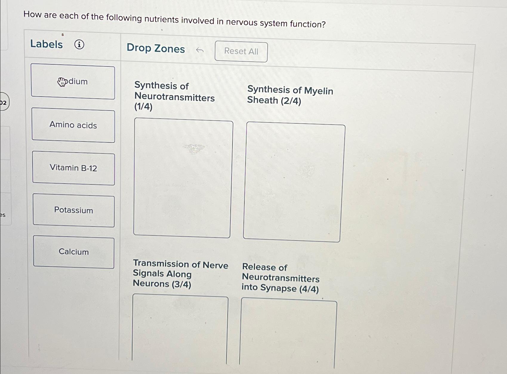 Solved How are each of the following nutrients involved in | Chegg.com