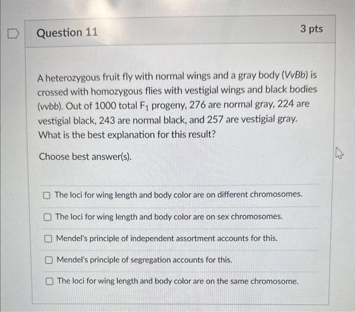 Solved A heterozygous fruit fly with normal wings and a gray | Chegg.com