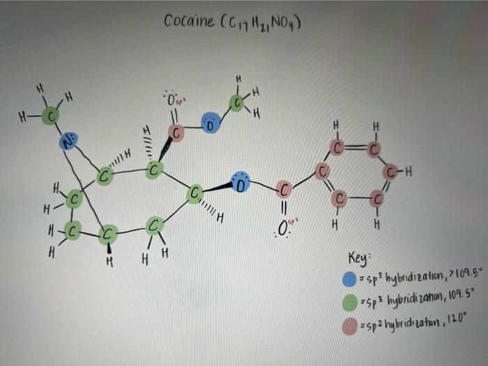Solved Can someone confirm for me if this is the correct | Chegg.com