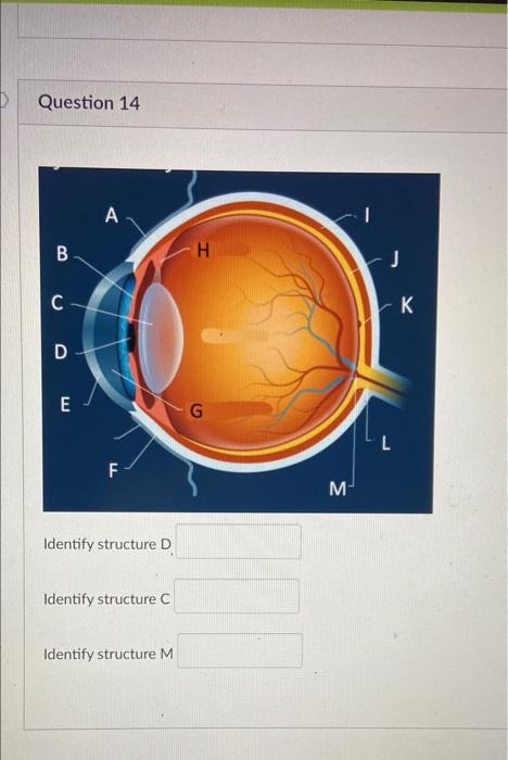 Solved D Question 11 D A A 00 B C Identify the structure | Chegg.com