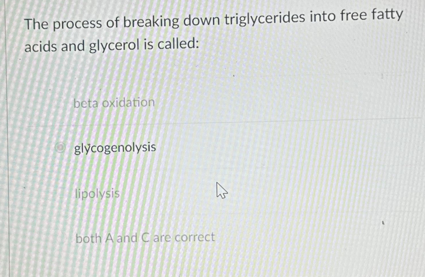 Solved The process of breaking down triglycerides into free | Chegg.com