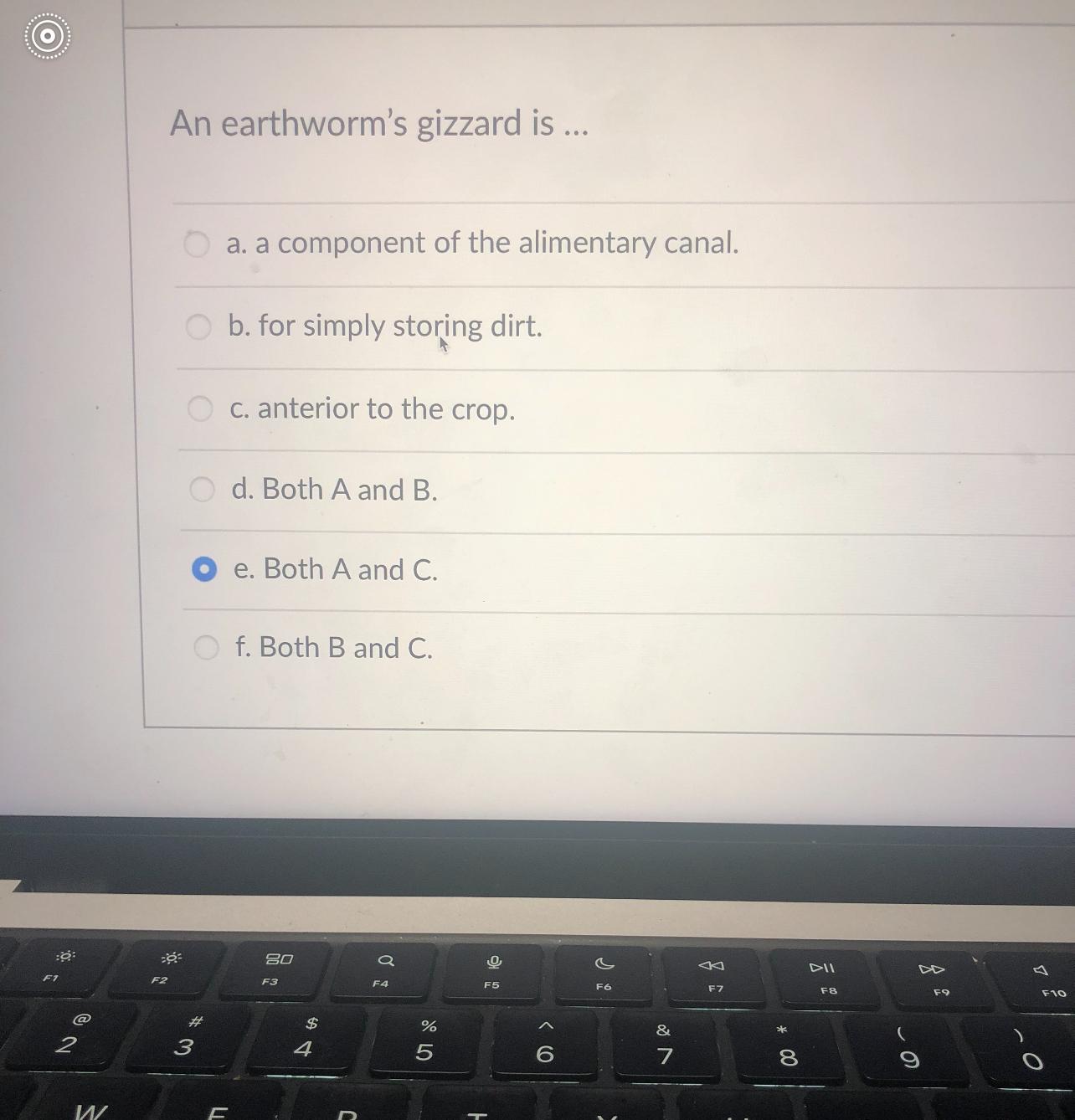 Solved An earthworm's gizzard is ...a. ﻿a component of the | Chegg.com