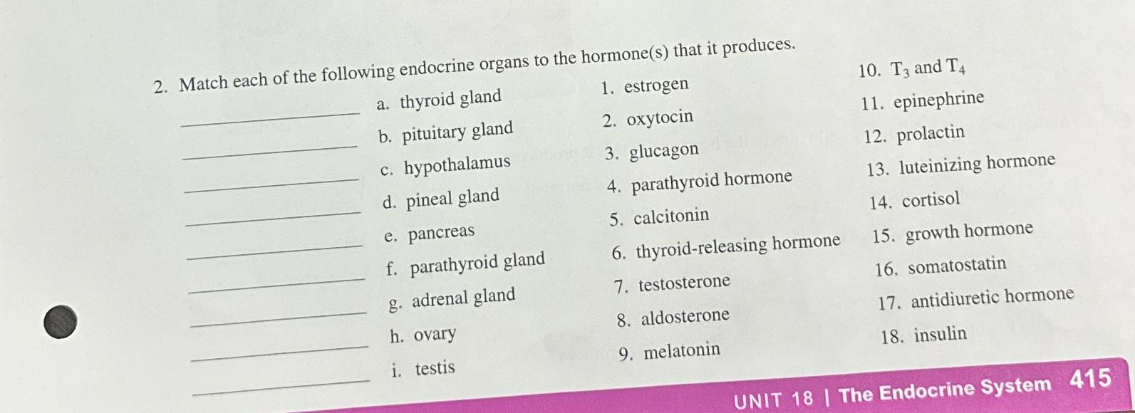 Solved Match each of the following endocrine organs to the | Chegg.com