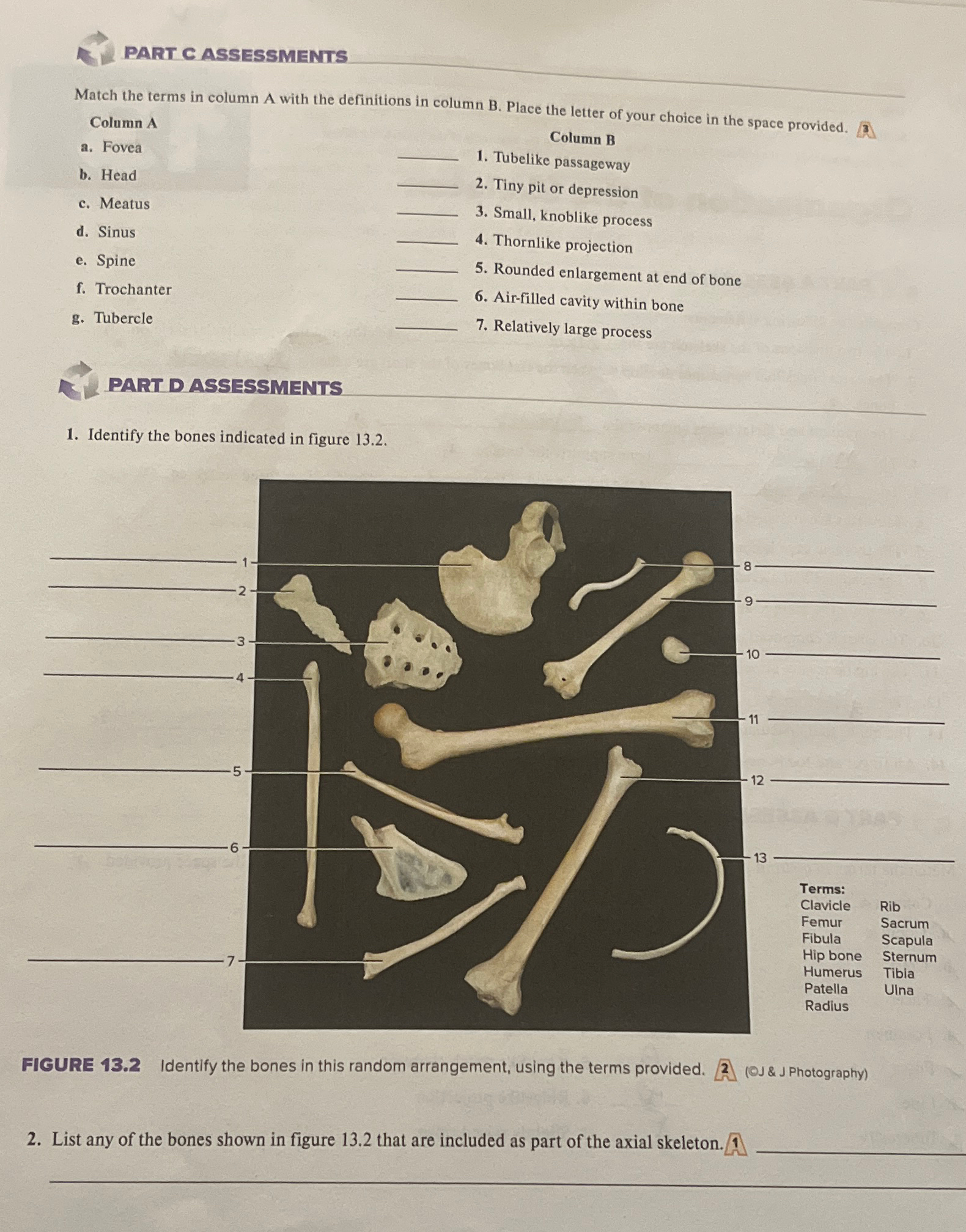 Solved PART C ASSESSMENTSMatch the terms in column A with | Chegg.com