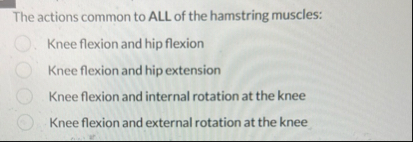 Solved The actions common to ALL of the hamstring | Chegg.com