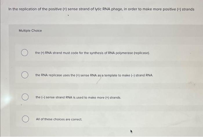 Solved In the replication of the positive (+) sense strand | Chegg.com