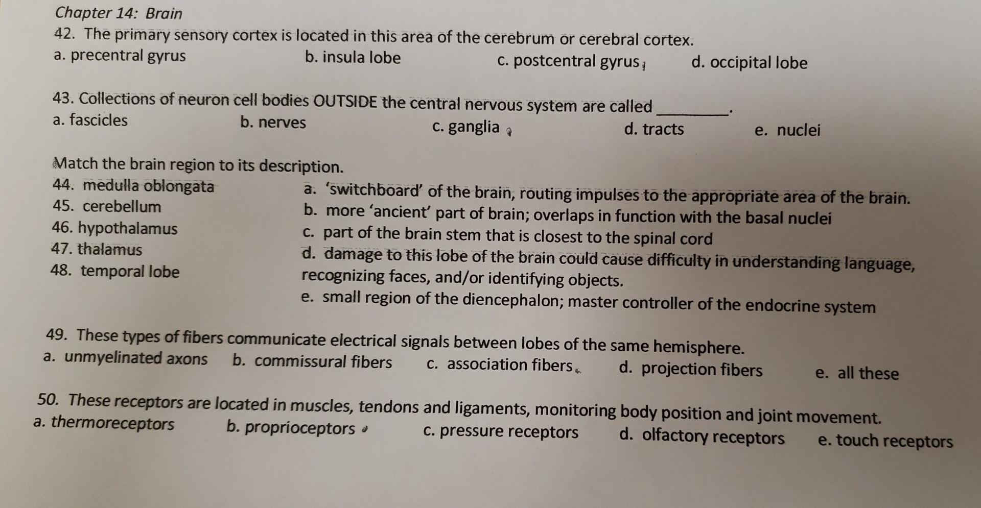 Solved 38) If a neuron is stimulated by a neurotransmitter | Chegg.com