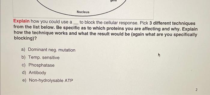 Solved 2. Using the pathway below (you will have to be able | Chegg.com