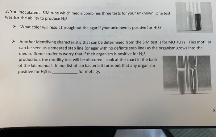 Solved 3. You inoculated a SIM tube which media combines | Chegg.com