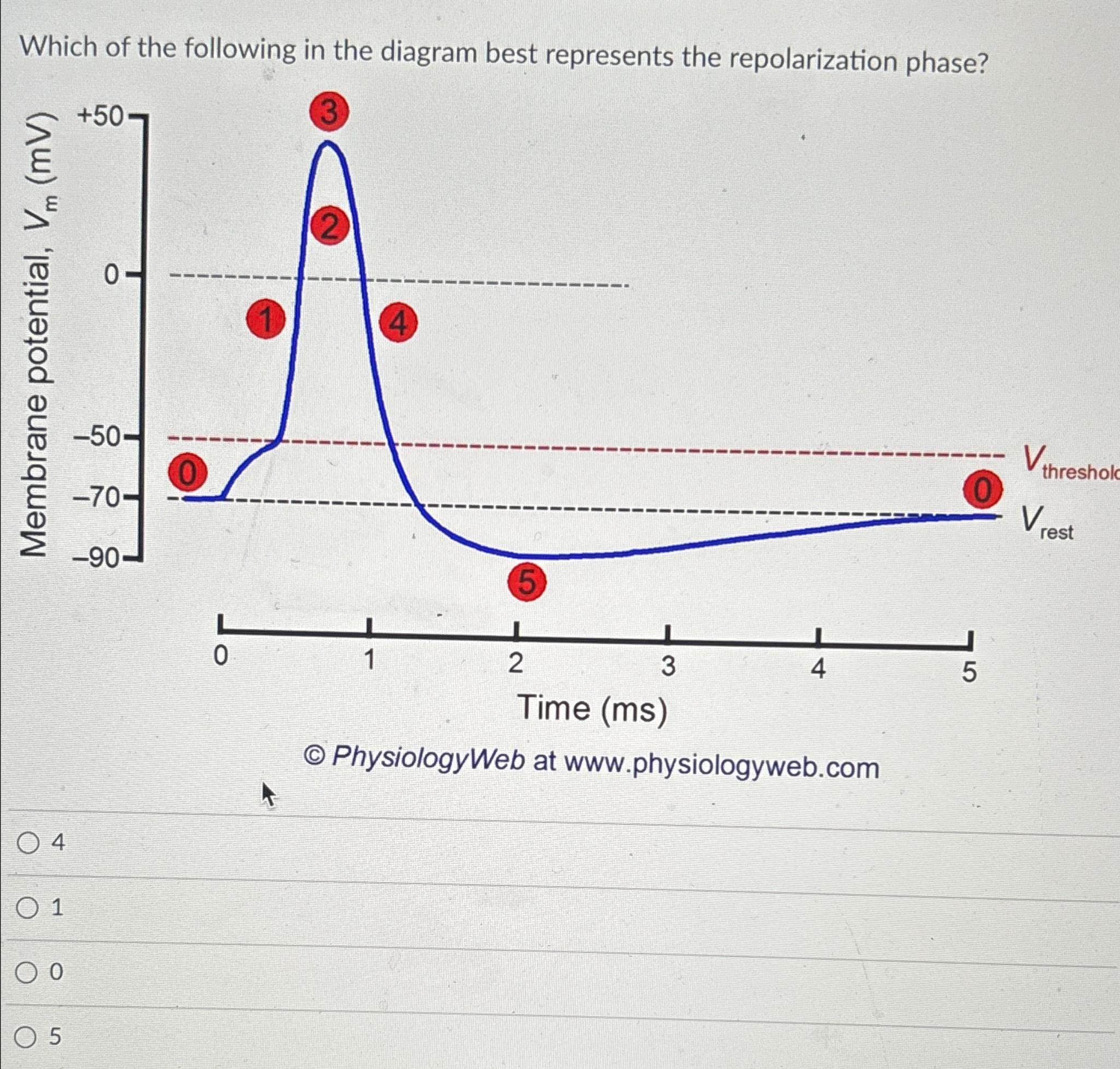 Solved Which of the following in the diagram best represents | Chegg.com
