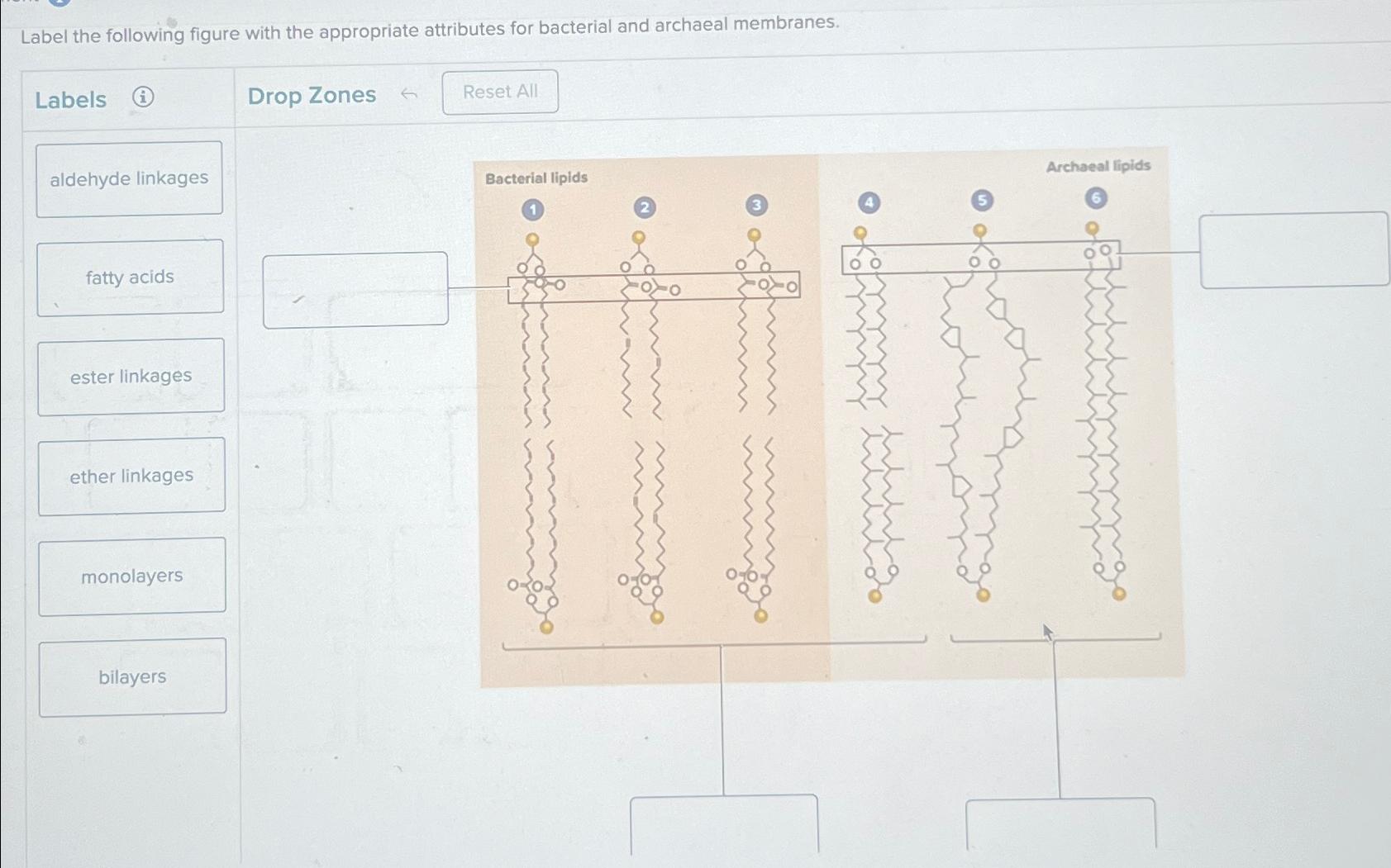 Solved Label the following figure with the appropriate | Chegg.com