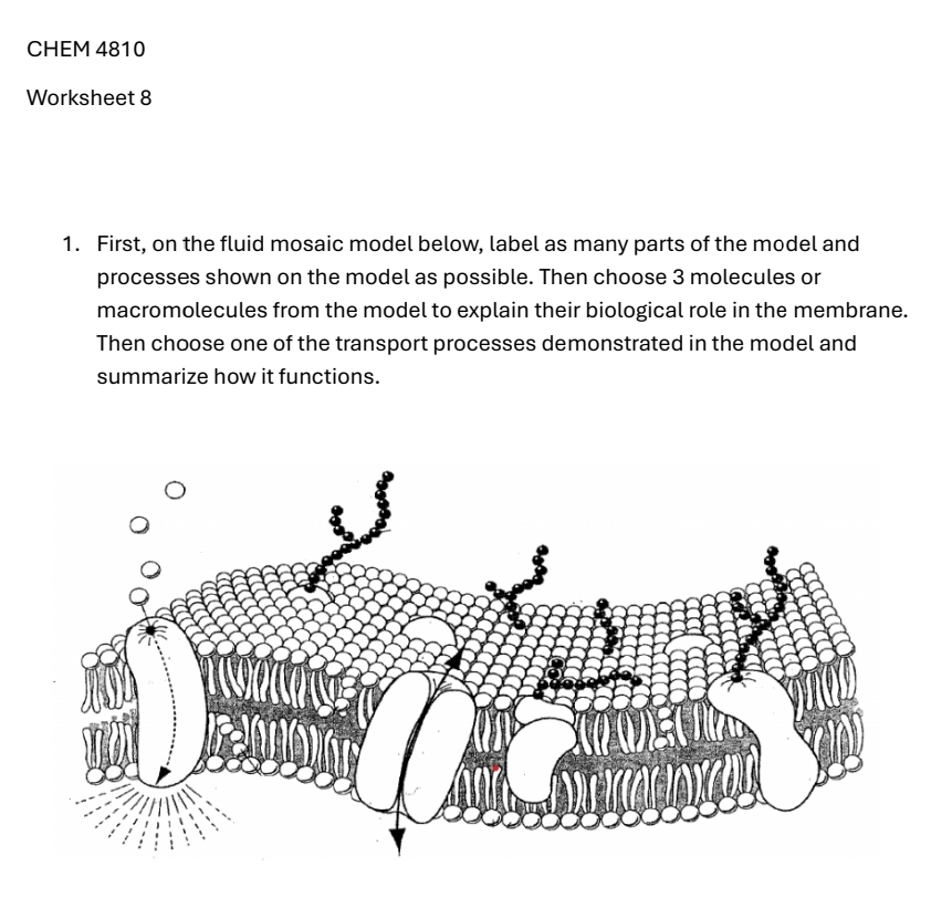 Solved CHEM 4810Worksheet 8First, on the fluid mosaic model | Chegg.com