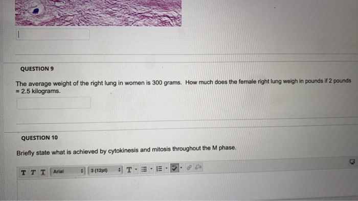 Solved QUESTION 9 The average weight of the right lung in | Chegg.com