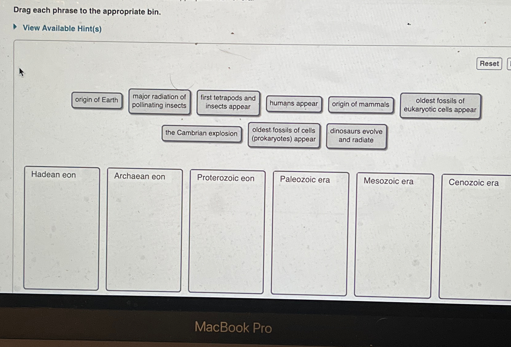Solved Drag each phrase to the appropriate bin.\\nView | Chegg.com