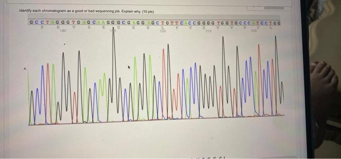Identity each chromatogram as a good or bad | Chegg.com