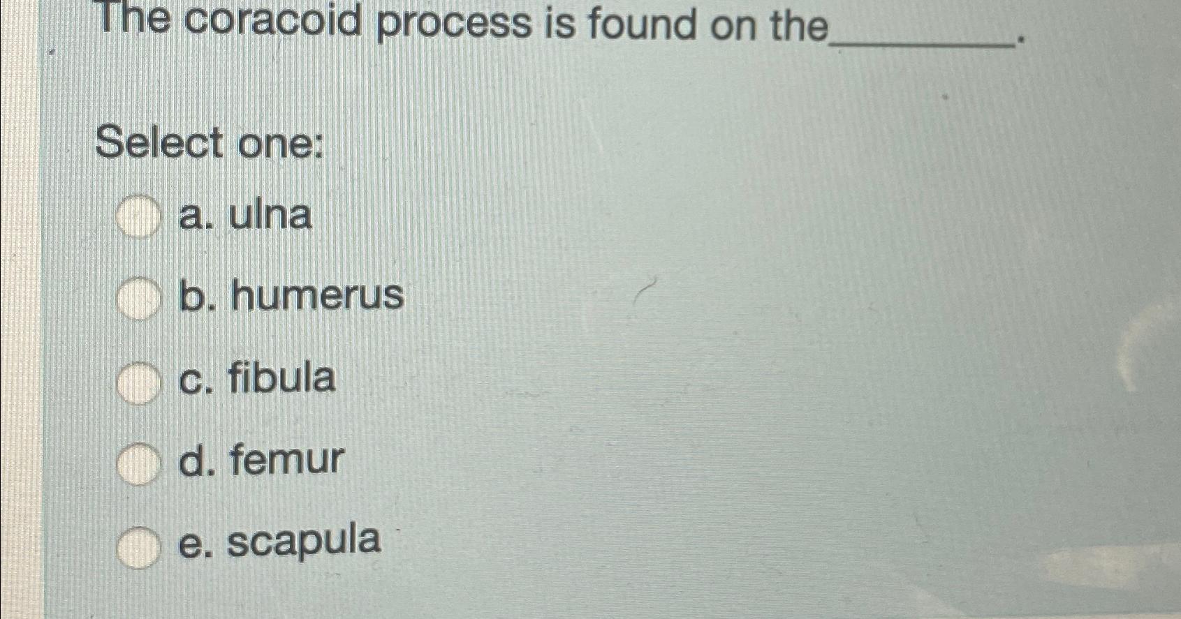 Solved The coracoid process is found on theSelect one:a. | Chegg.com