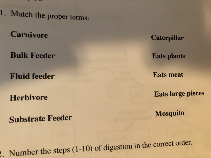 Solved 1. Match the proper terms: Carnivore Caterpillar Bulk | Chegg.com
