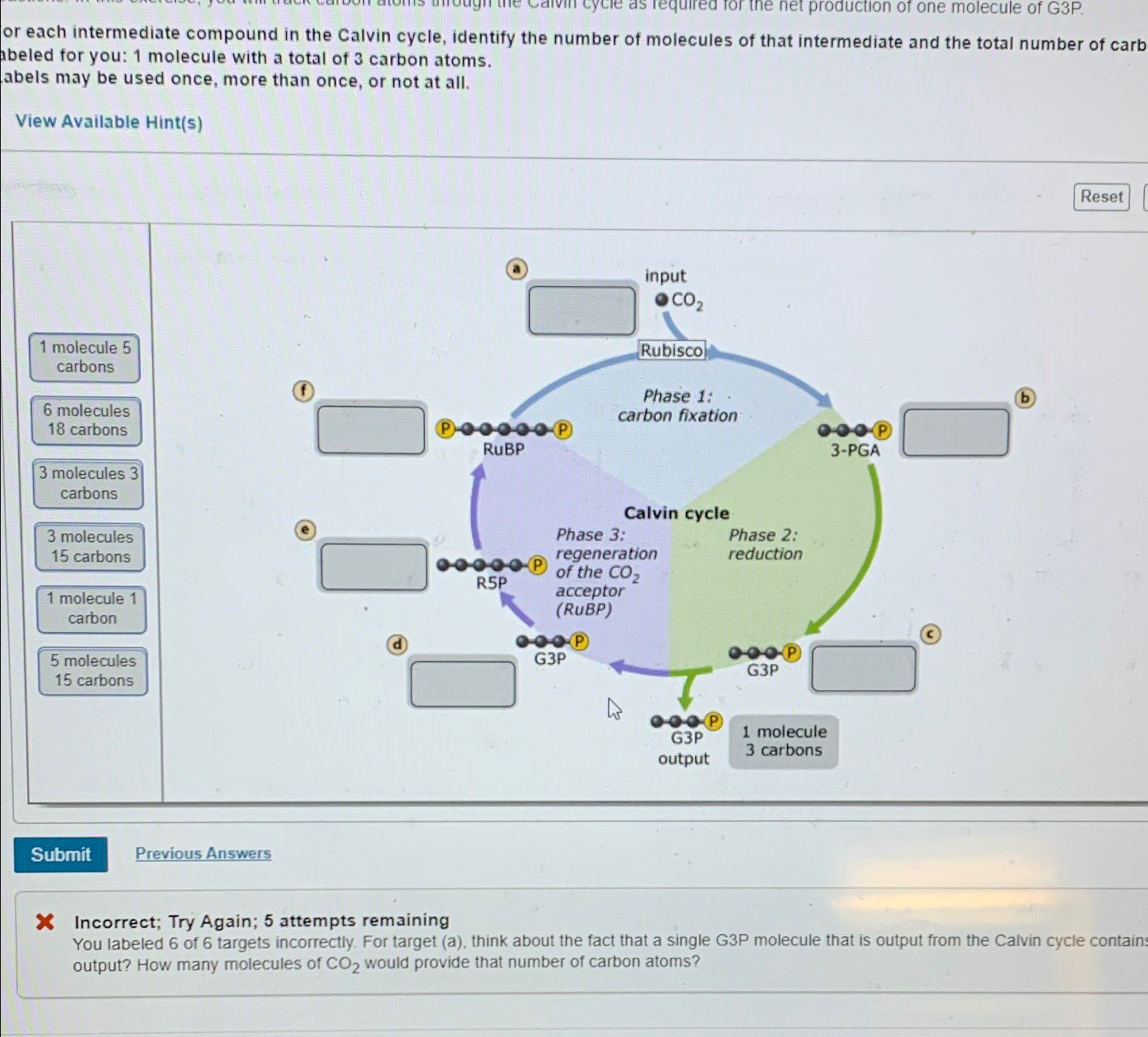 Solved or each intermediate compound in the Calvin cycle, | Chegg.com