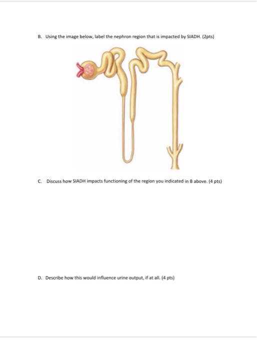Solved Modeling (10 points) Create a model in the space | Chegg.com