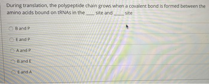 Solved During translation, the polypeptide chain grows when | Chegg.com