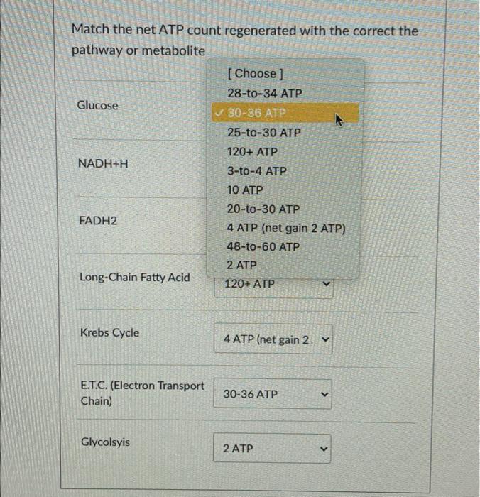 Solved Match the net ATP count regenerated with the correct | Chegg.com