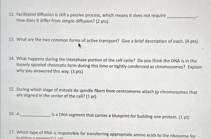 12. Facilitated diffusion is still a passive process, | Chegg.com