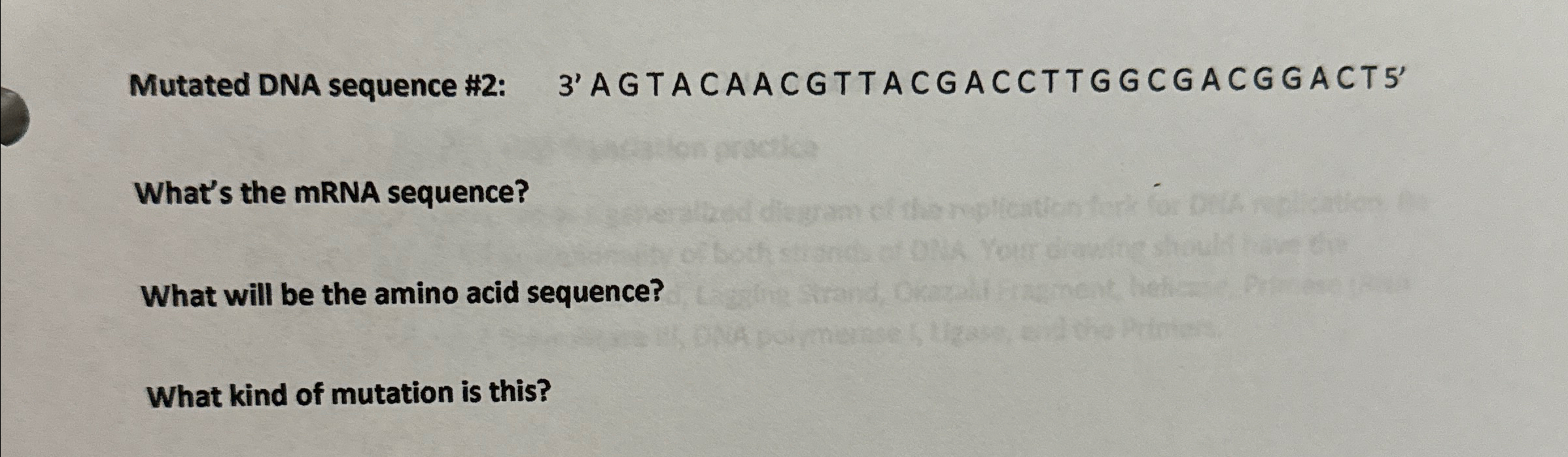 Solved Mutated DNA sequence #2: ,3' | Chegg.com