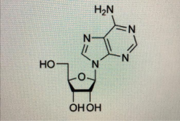 Solved Below is the chemical structure of adenosine. On the | Chegg.com