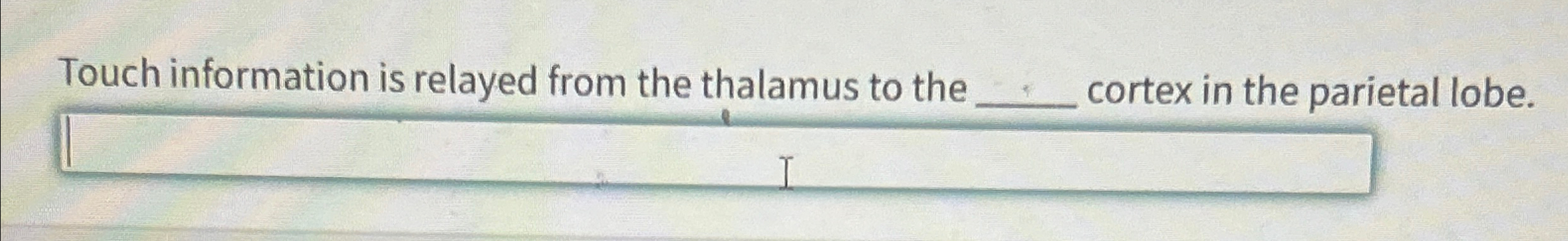 Solved Touch information is relayed from the thalamus to the | Chegg.com