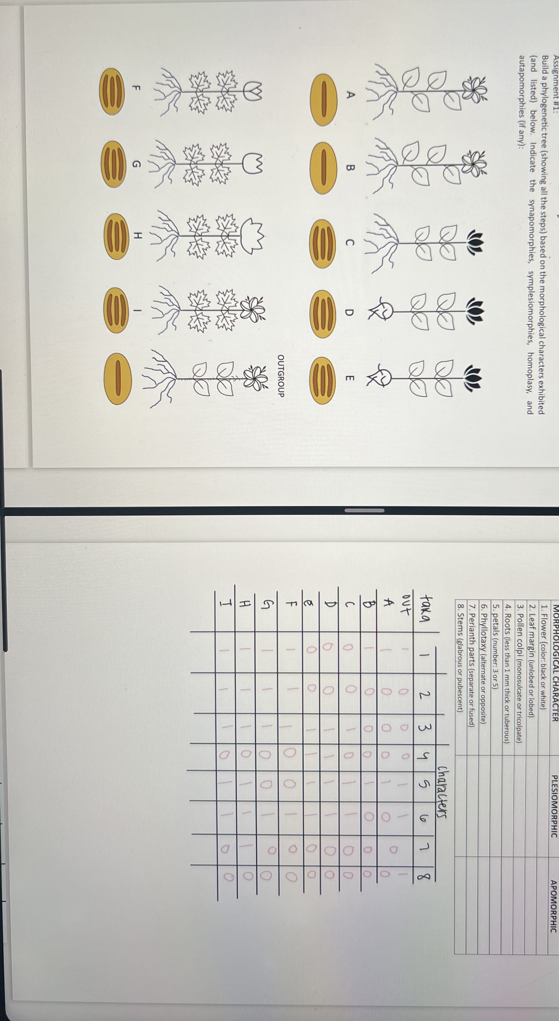 Solved Please use the following information to create a | Chegg.com Solved Please use the following information to create a | Chegg.com