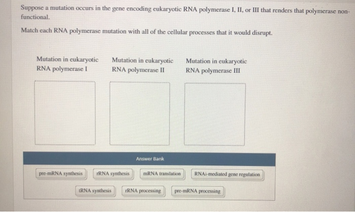 Solved Suppose a mutation occurs in the gene encoding | Chegg.com
