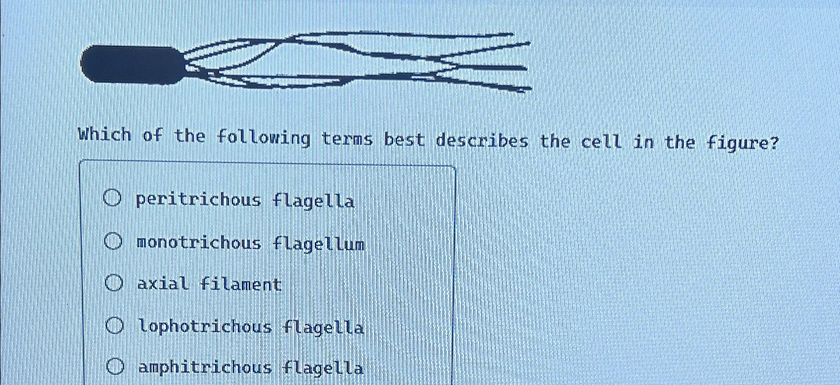 Solved Which of the following terms best describes the cell | Chegg.com
