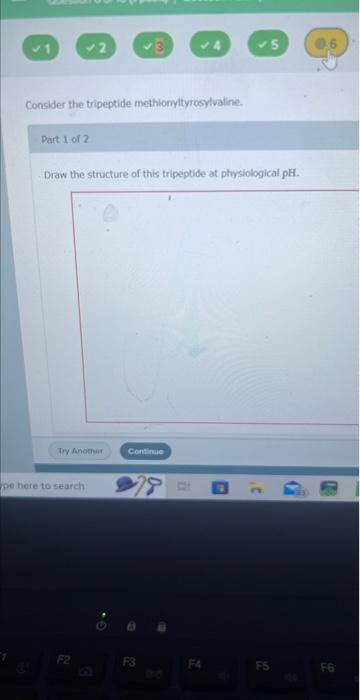 Solved i dont even begin to know where to start putting | Chegg.com
