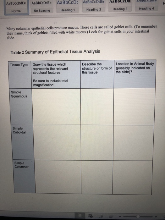 Solved AaBbCcDdEe AaBbCcDdEe AaBbc AdBoccudte AaBbCcDc | Chegg.com
