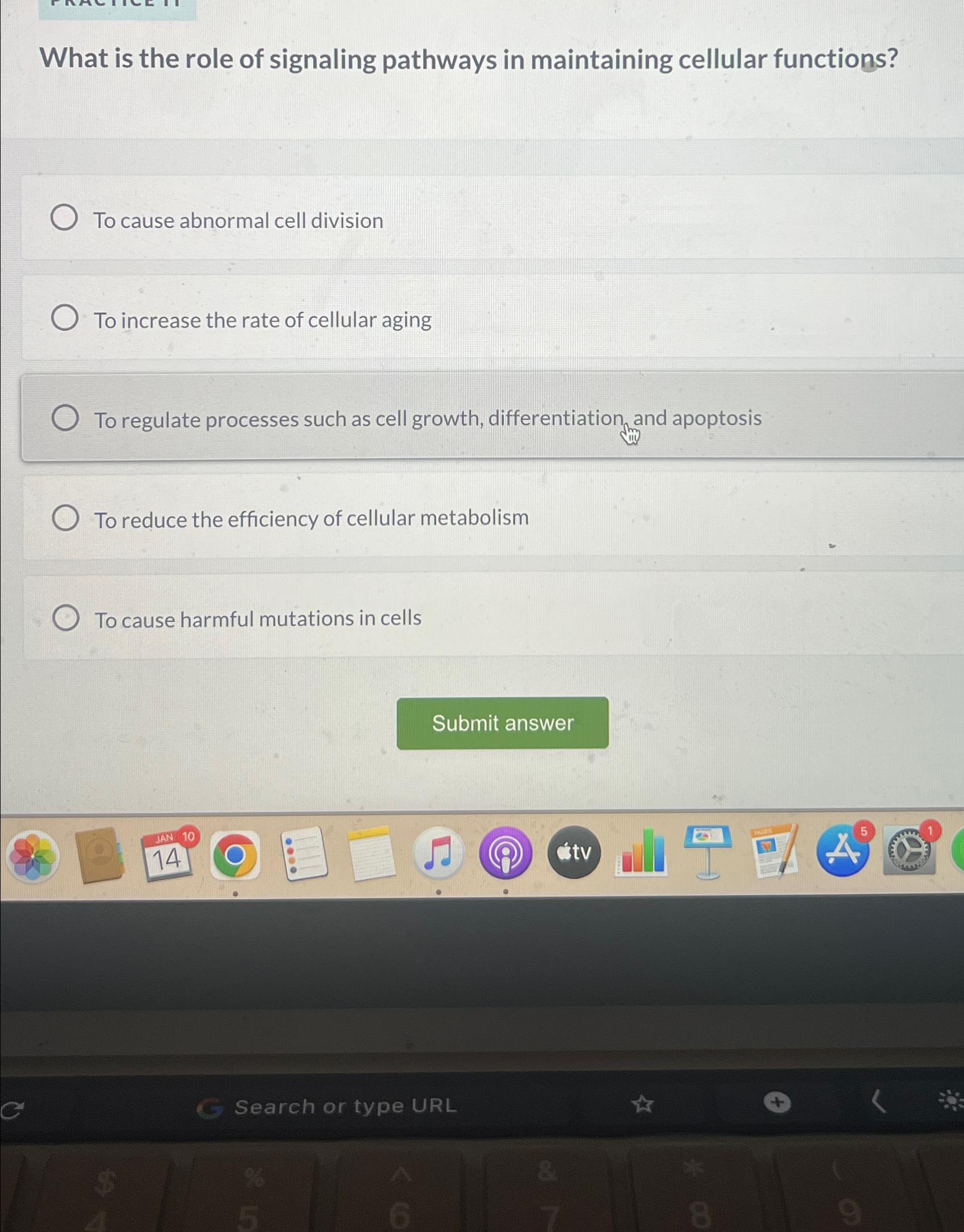 Solved What is the role of signaling pathways in maintaining | Chegg.com
